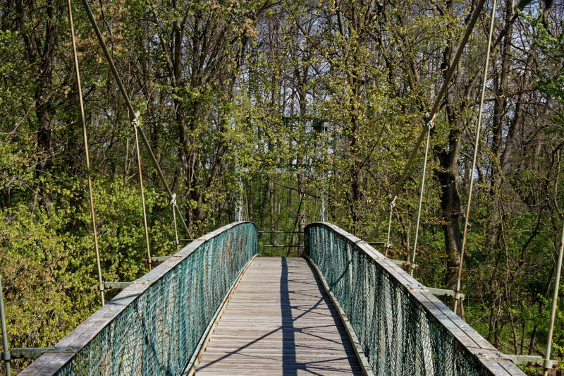 Is It Common To See Bears on Foot Bridges in National Parks?, China ...