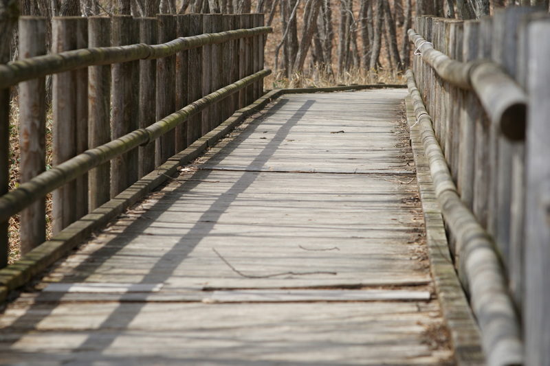 Does The Charter Oak Bridge Foot Bridge Have Steps Or A Ramp?, China ...